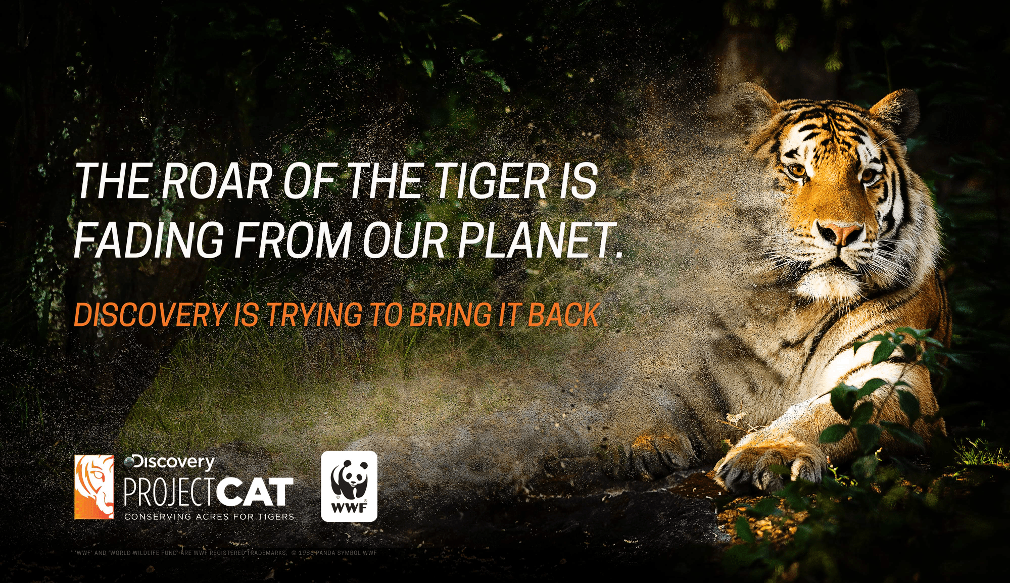 November 2018 - Project CAT - Donate a Day